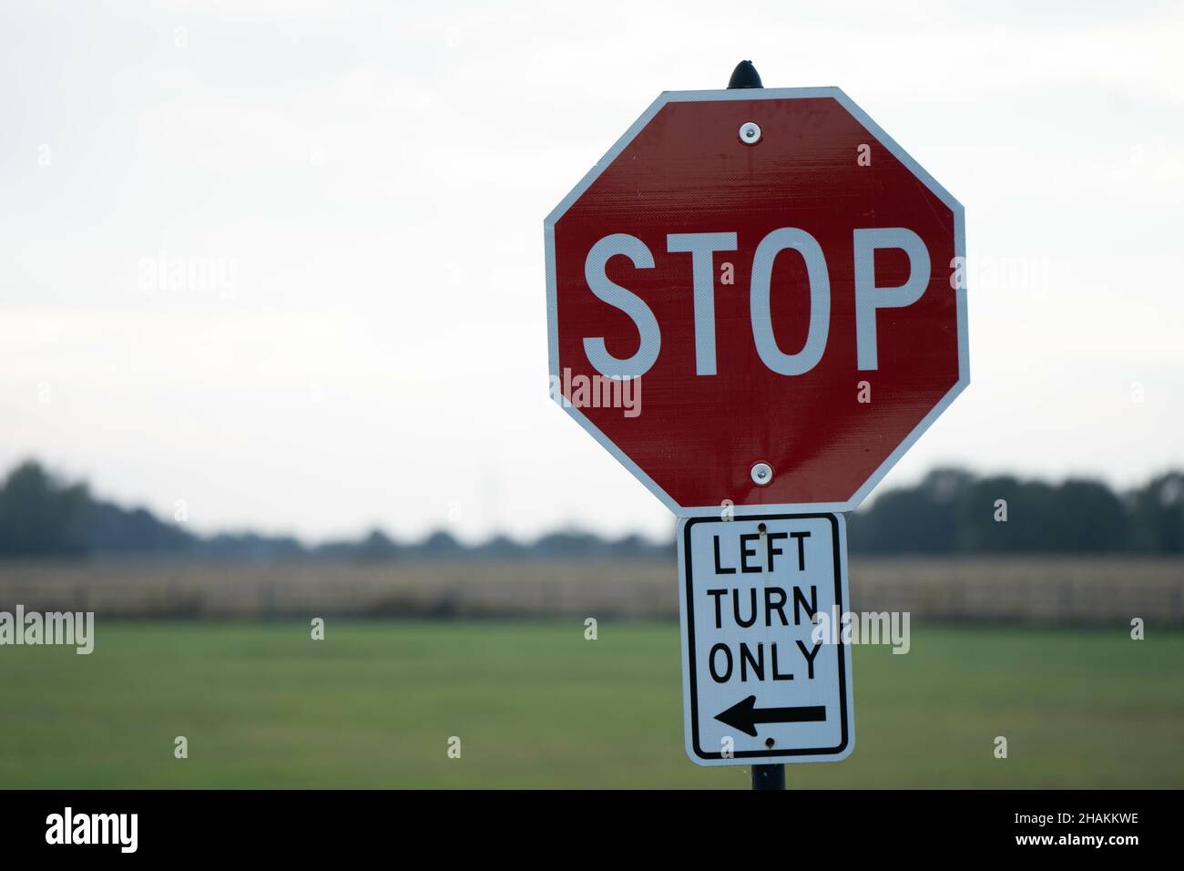 Red stop sign with a left turn only direction on a rural road Stock ...
