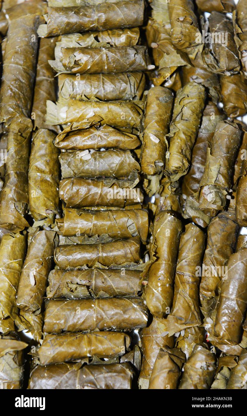 Preparing stuffed vine leaves Levantine style Stock Photo - Alamy