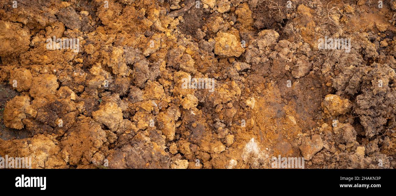 Close up of soil texture background Stock Photo - Alamy
