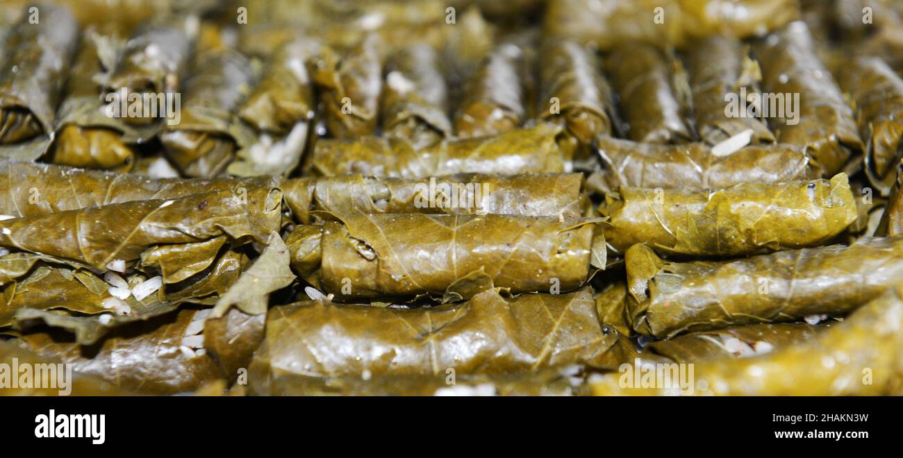 Preparing stuffed vine leaves Levantine style Stock Photo - Alamy