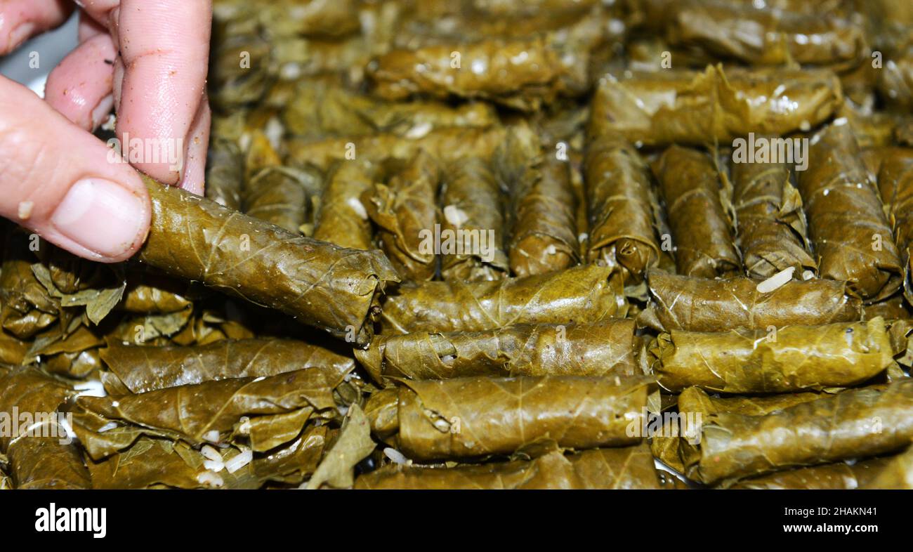 Preparing stuffed vine leaves Levantine style Stock Photo - Alamy