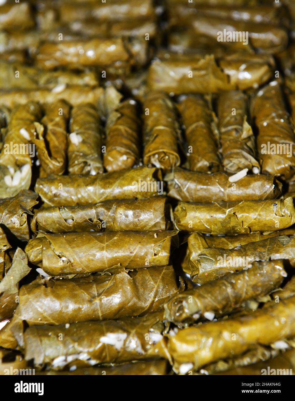 Preparing stuffed vine leaves Levantine style Stock Photo - Alamy