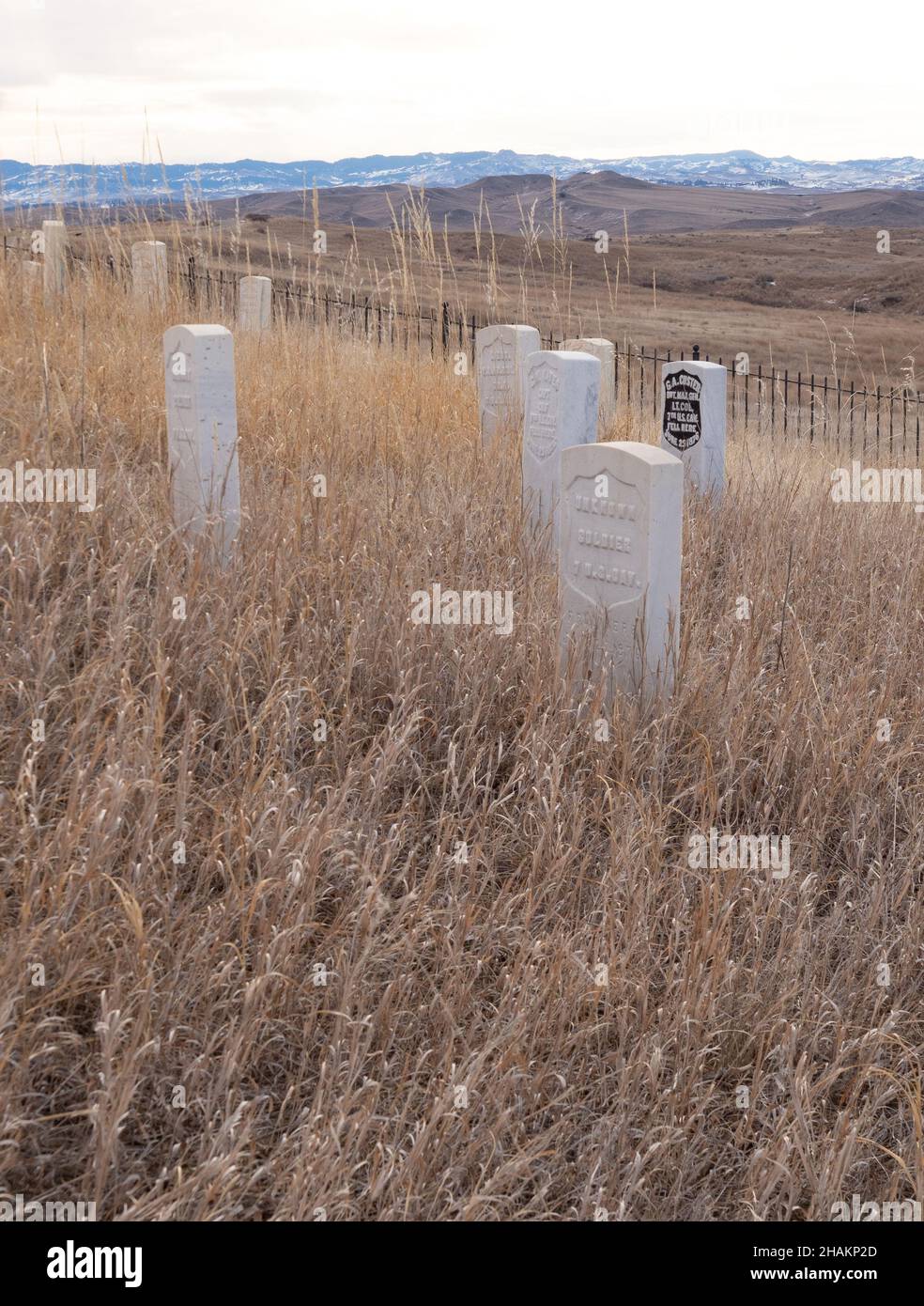 White marble tombstones marking graves of 7th Cavalrymen on Custer's ...