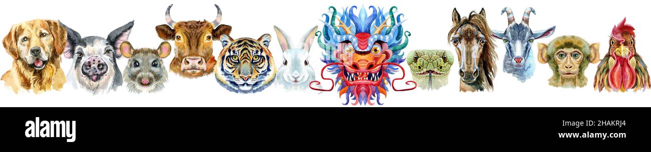 Colorful astrology set with drawings of twelve chinese zodiac animals ...