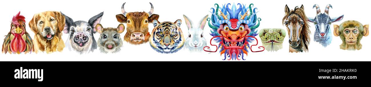 Colorful astrology set with drawings of twelve chinese zodiac animals ...