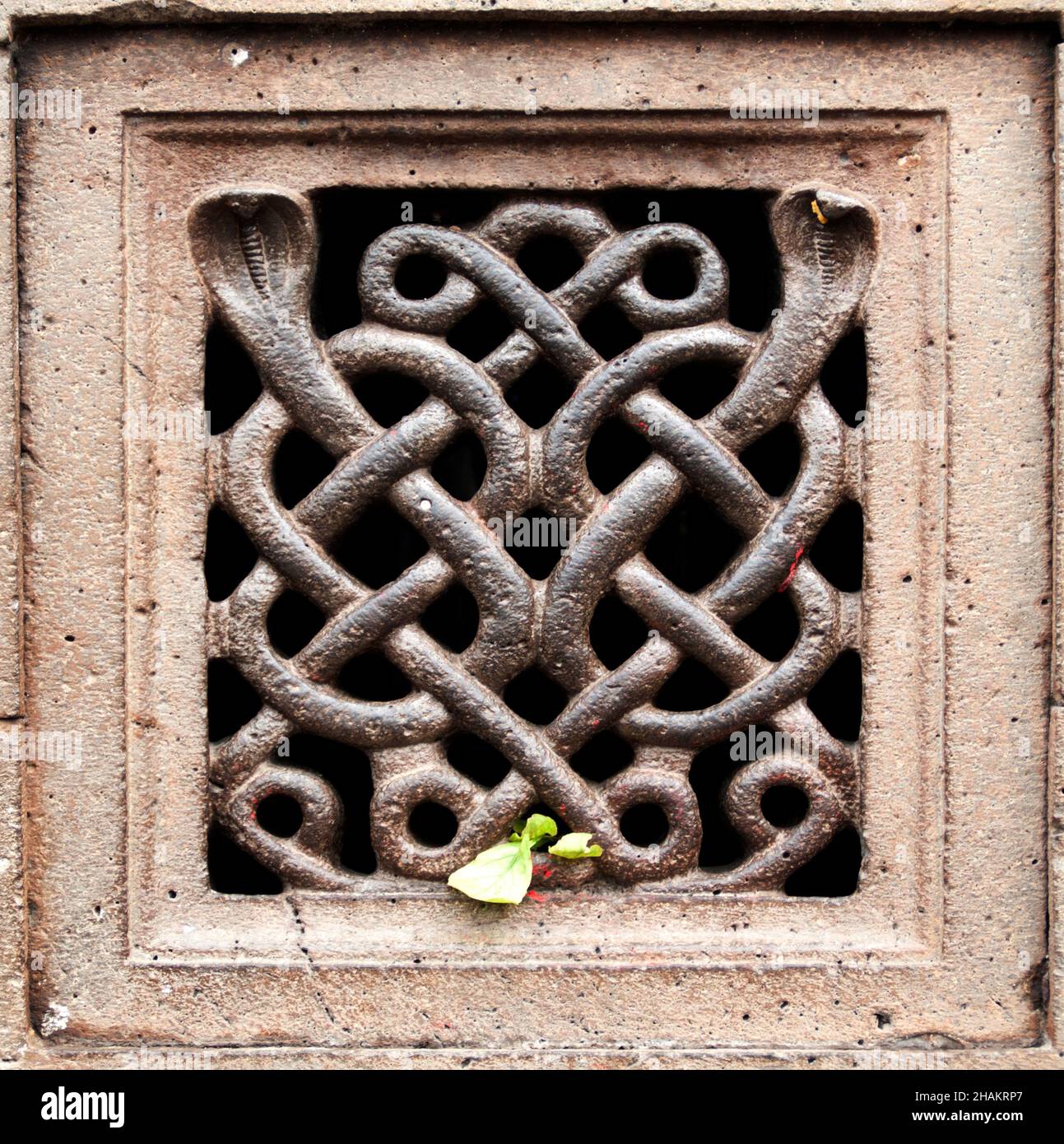 Serpent design lattice work Jali window of Kashi Vishweshwar Temple at ...