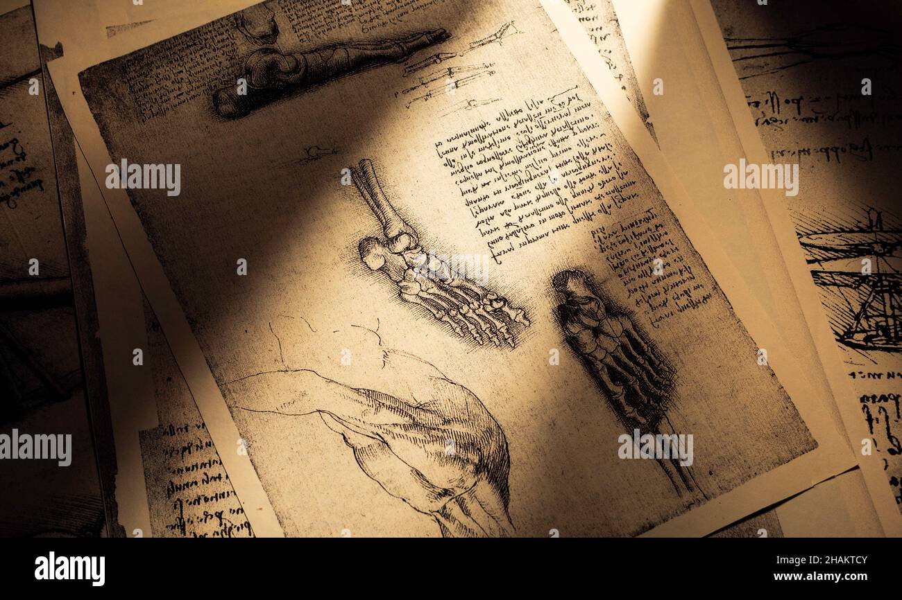 Kandy, Sri Lanka - 17 February 2021: 14th century anatomy art by ...