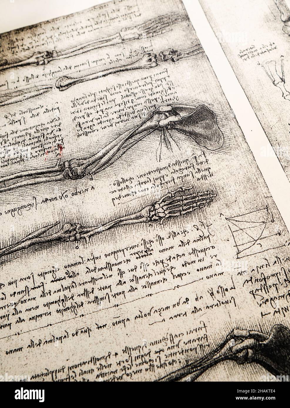 Kandy, Sri Lanka - 17 February 2021: 14th century anatomy art by ...