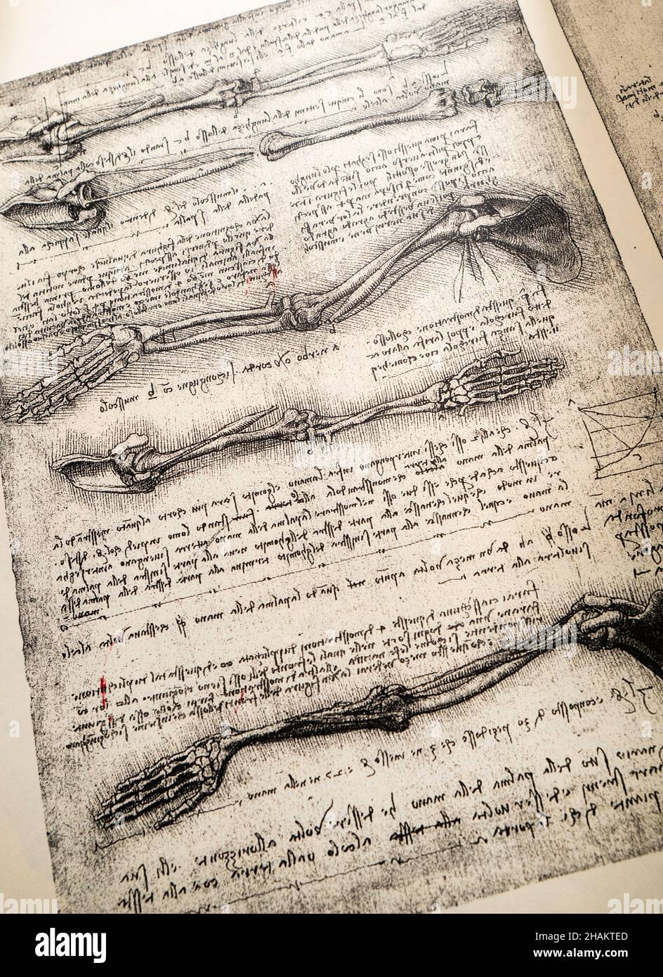 Kandy, Sri Lanka - 17 February 2021: 14th century anatomy art by ...