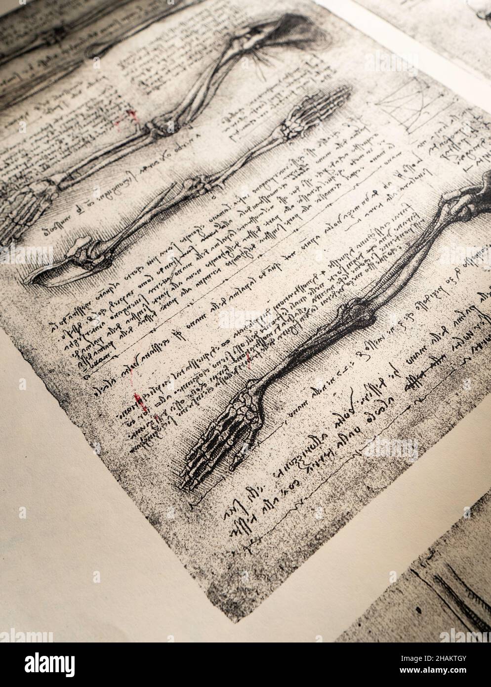 Kandy, Sri Lanka - 17 February 2021: 14th century anatomy art by ...