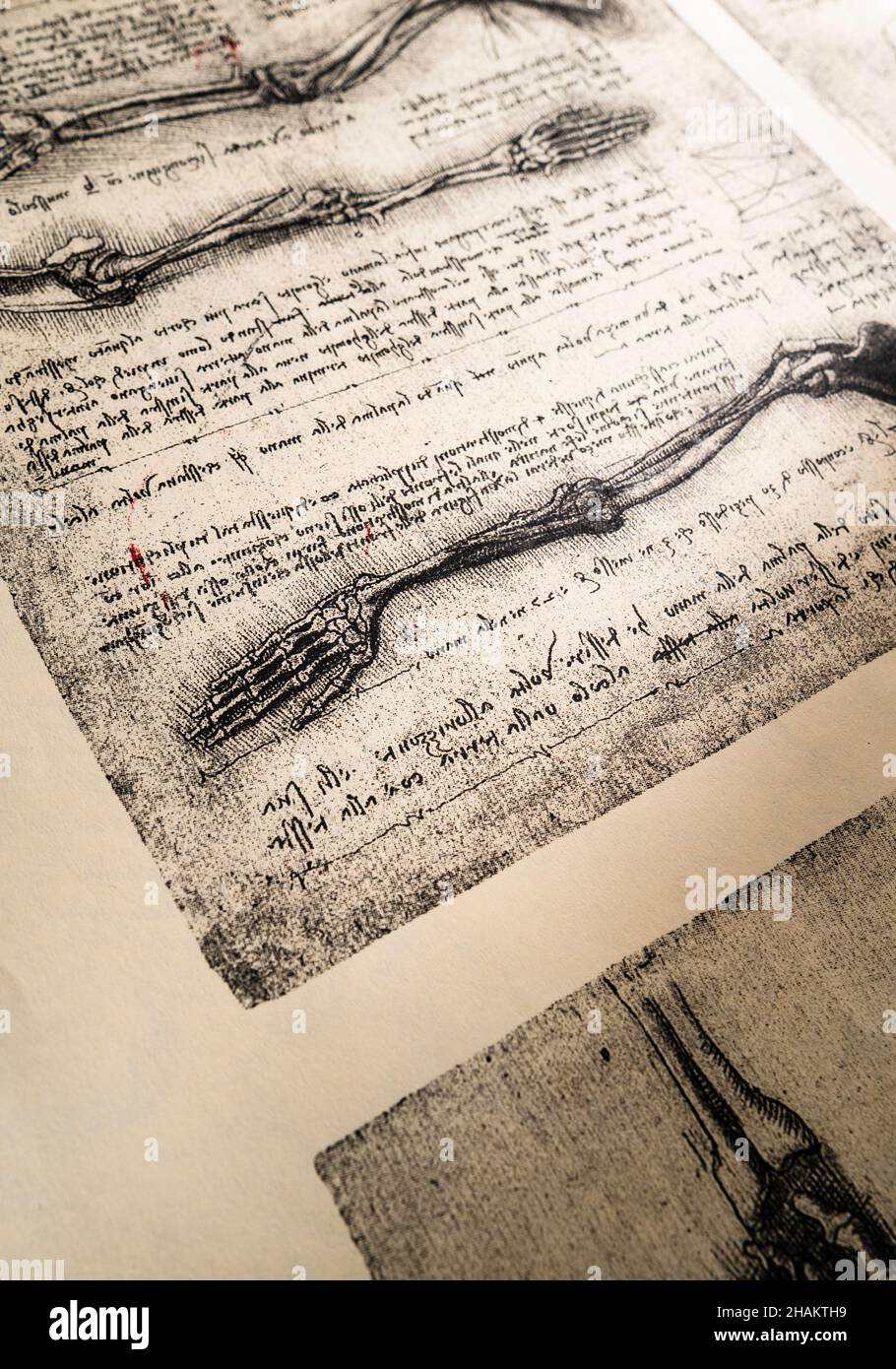 Kandy, Sri Lanka - 17 February 2021: 14th century anatomy art by ...