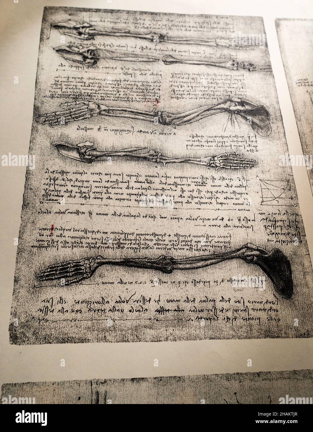 Kandy, Sri Lanka - 17 February 2021: 14th century anatomy art by ...