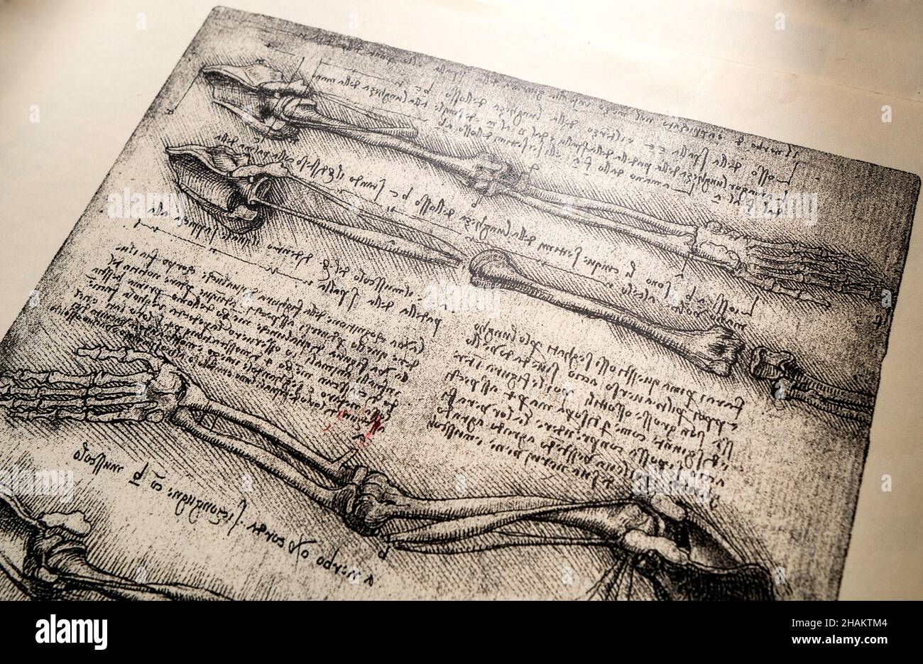 Kandy, Sri Lanka - 17 February 2021: 14th century anatomy art by ...