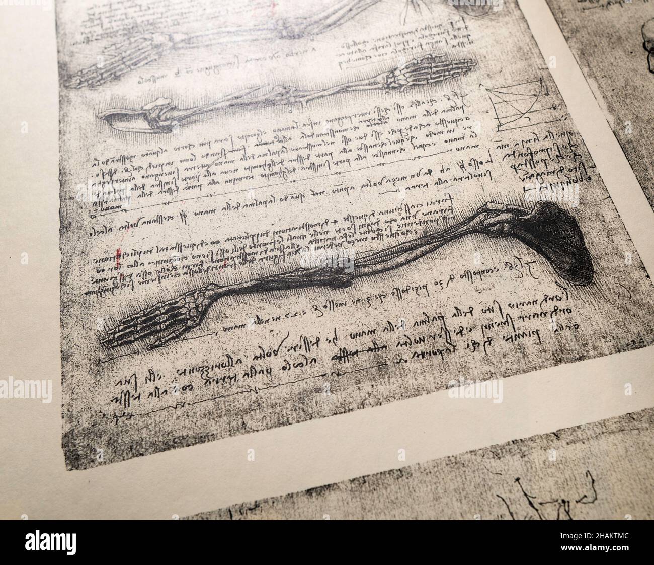 Kandy, Sri Lanka - 17 February 2021: 14th century anatomy art by ...