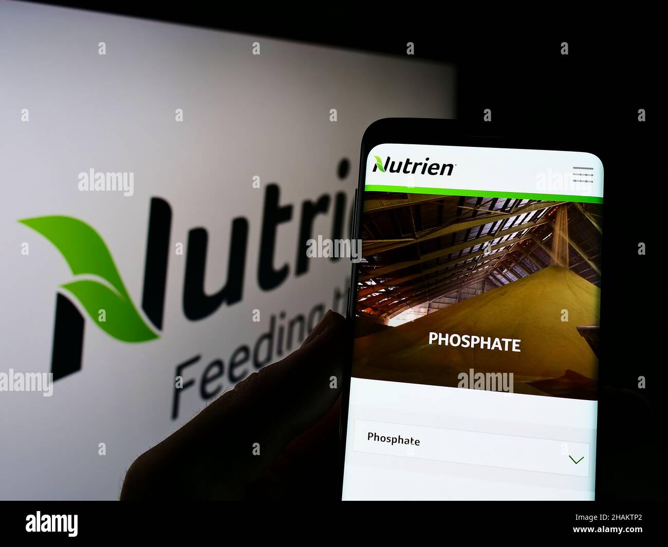 Person holding smartphone with webpage of Canadian fertilizer company ...