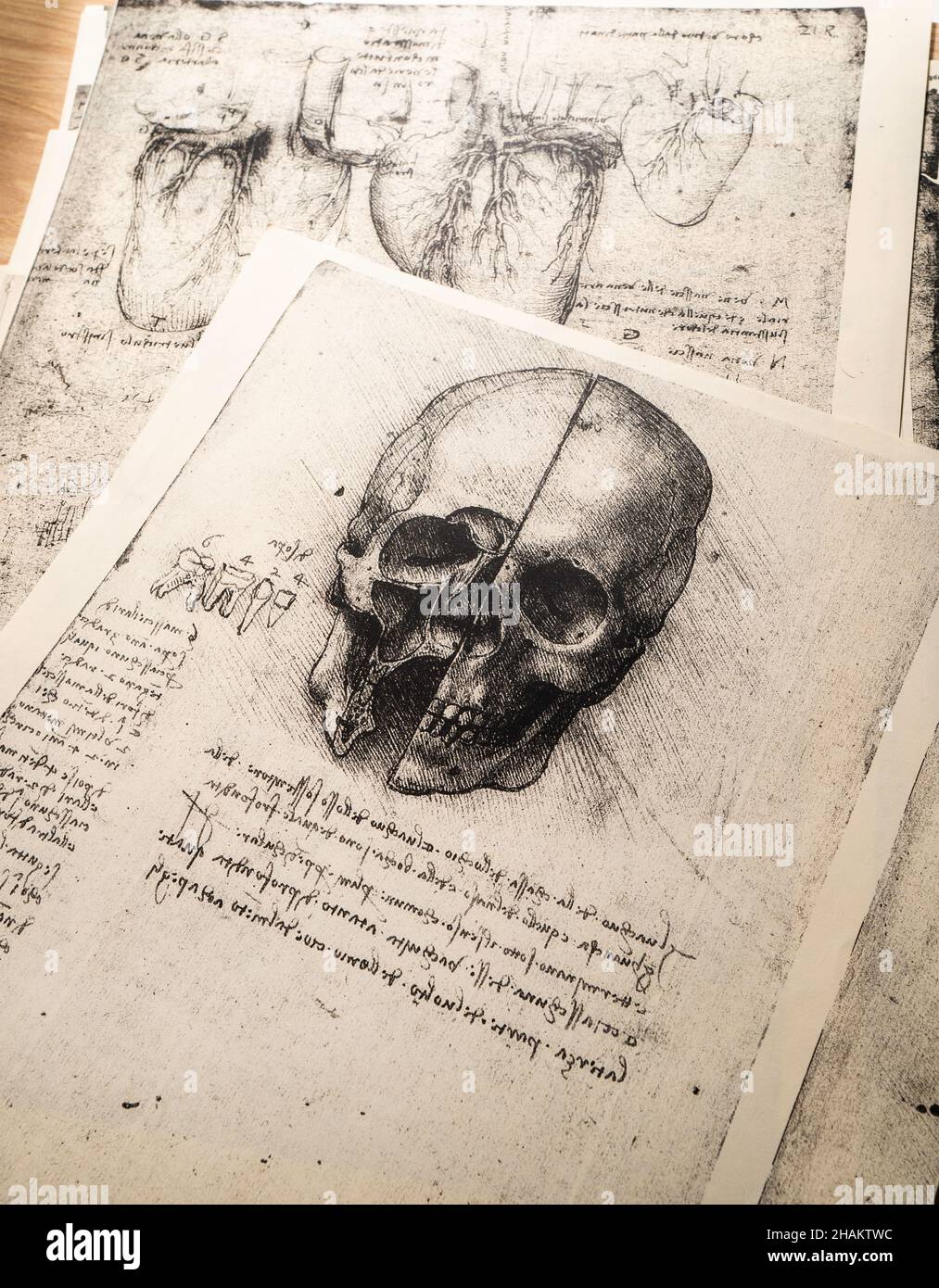 Kandy, Sri Lanka - 17 February 2021: 14th century anatomy art by ...