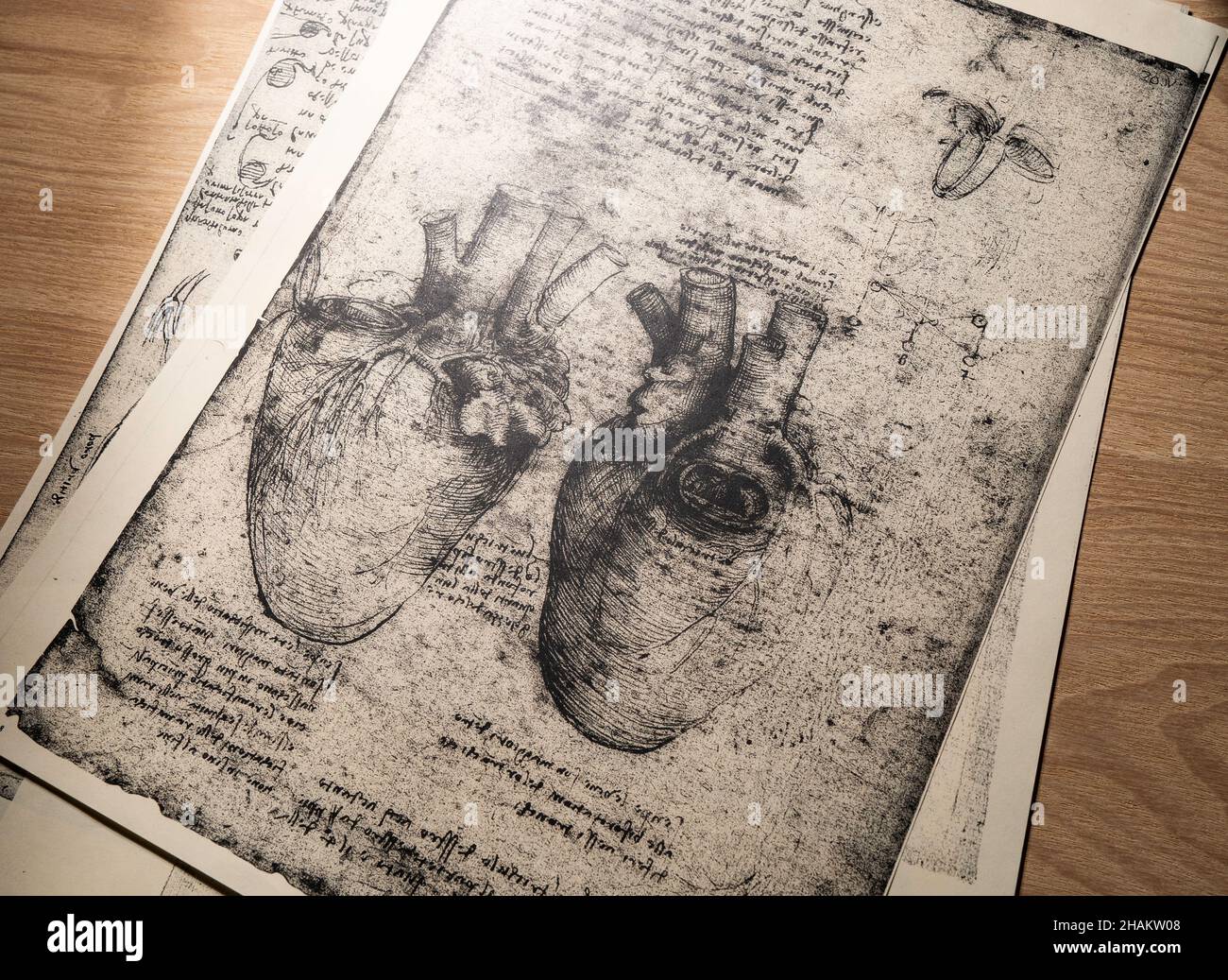 Kandy, Sri Lanka - 17 February 2021: 14th century anatomy art by ...