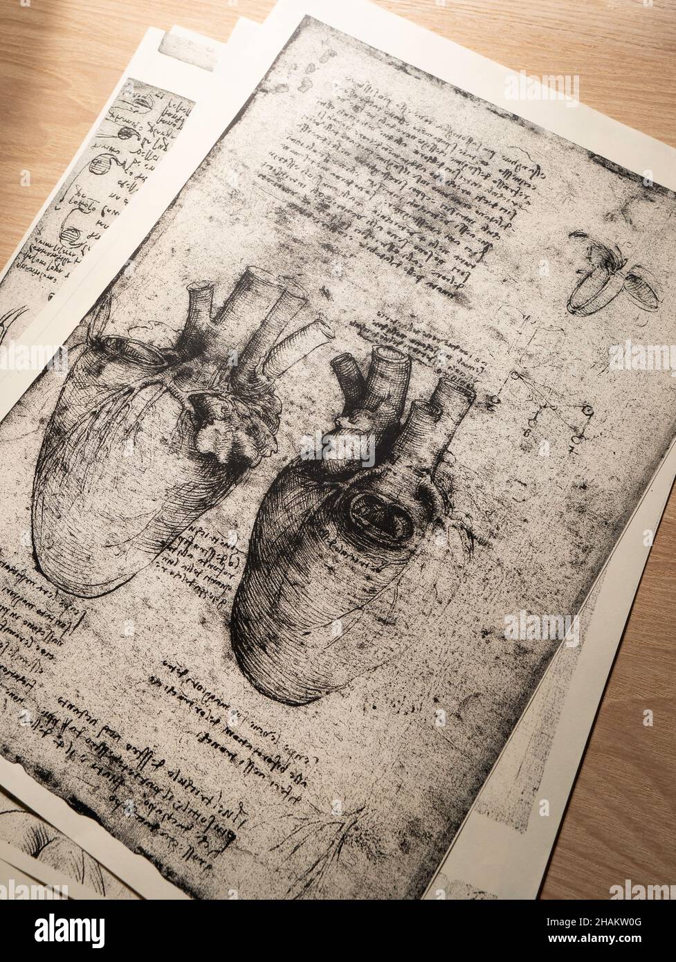 Kandy, Sri Lanka - 17 February 2021: 14th century anatomy art by ...