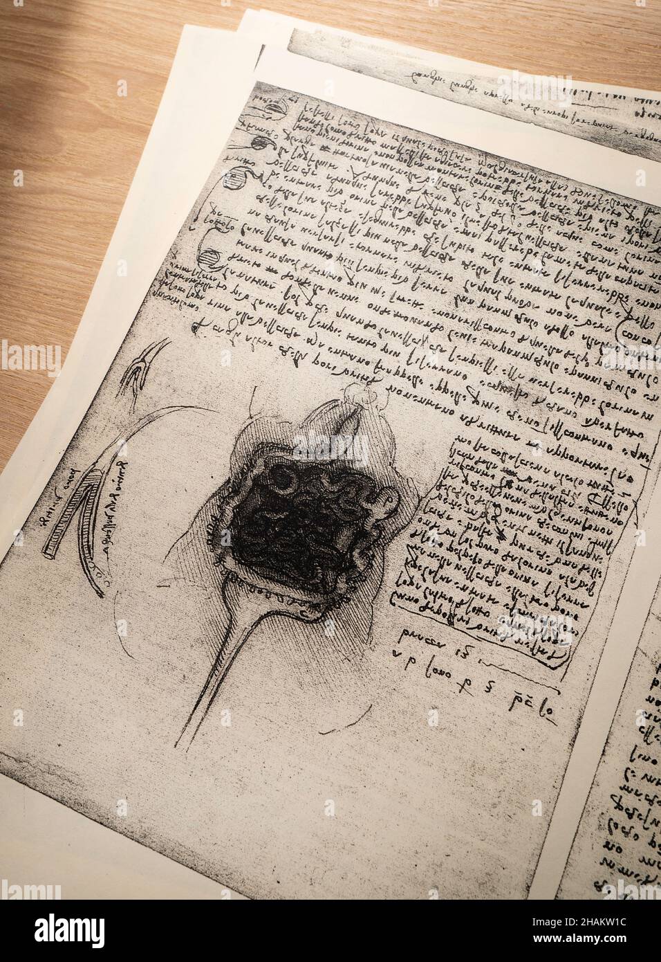 Kandy, Sri Lanka - 17 February 2021: 14th century anatomy art by ...