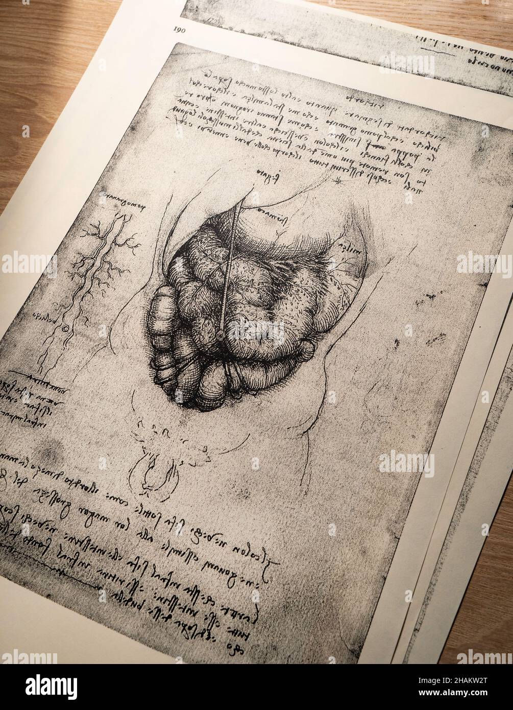 Kandy, Sri Lanka - 17 February 2021: 14th century anatomy art by ...