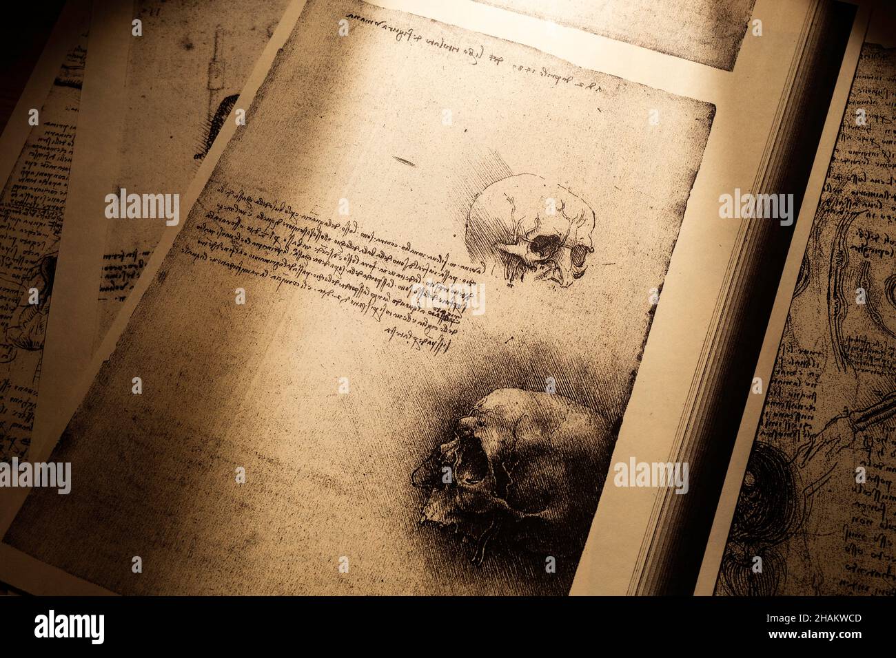 Kandy, Sri Lanka - 17 February 2021: 14th century anatomy art by ...