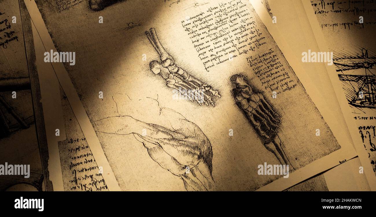 Kandy, Sri Lanka - 17 February 2021: 14th century anatomy art by ...