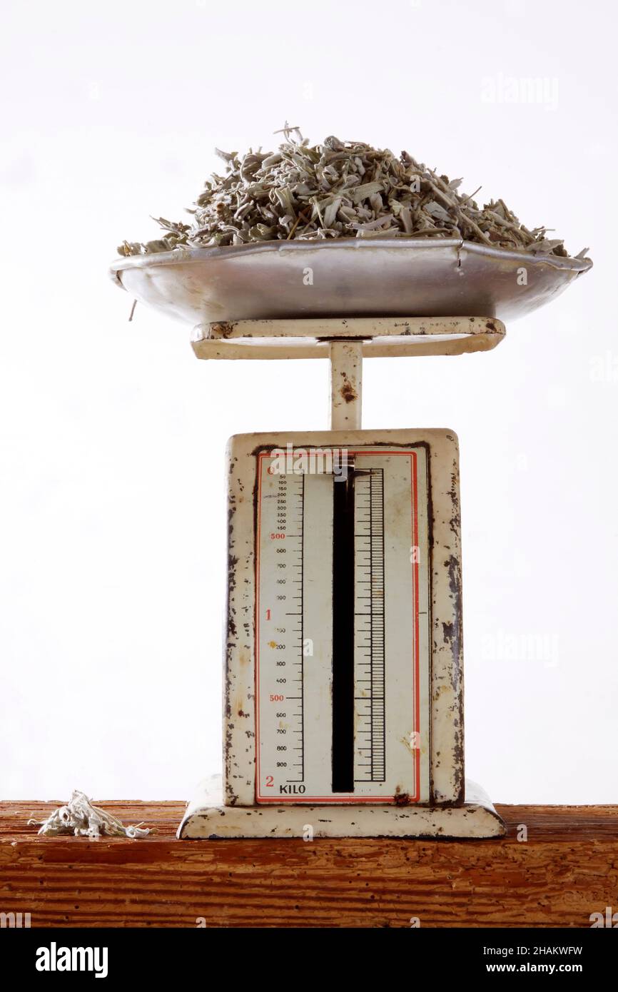 Sage on old metal scales on wooden beams, isolated Stock Photo - Alamy