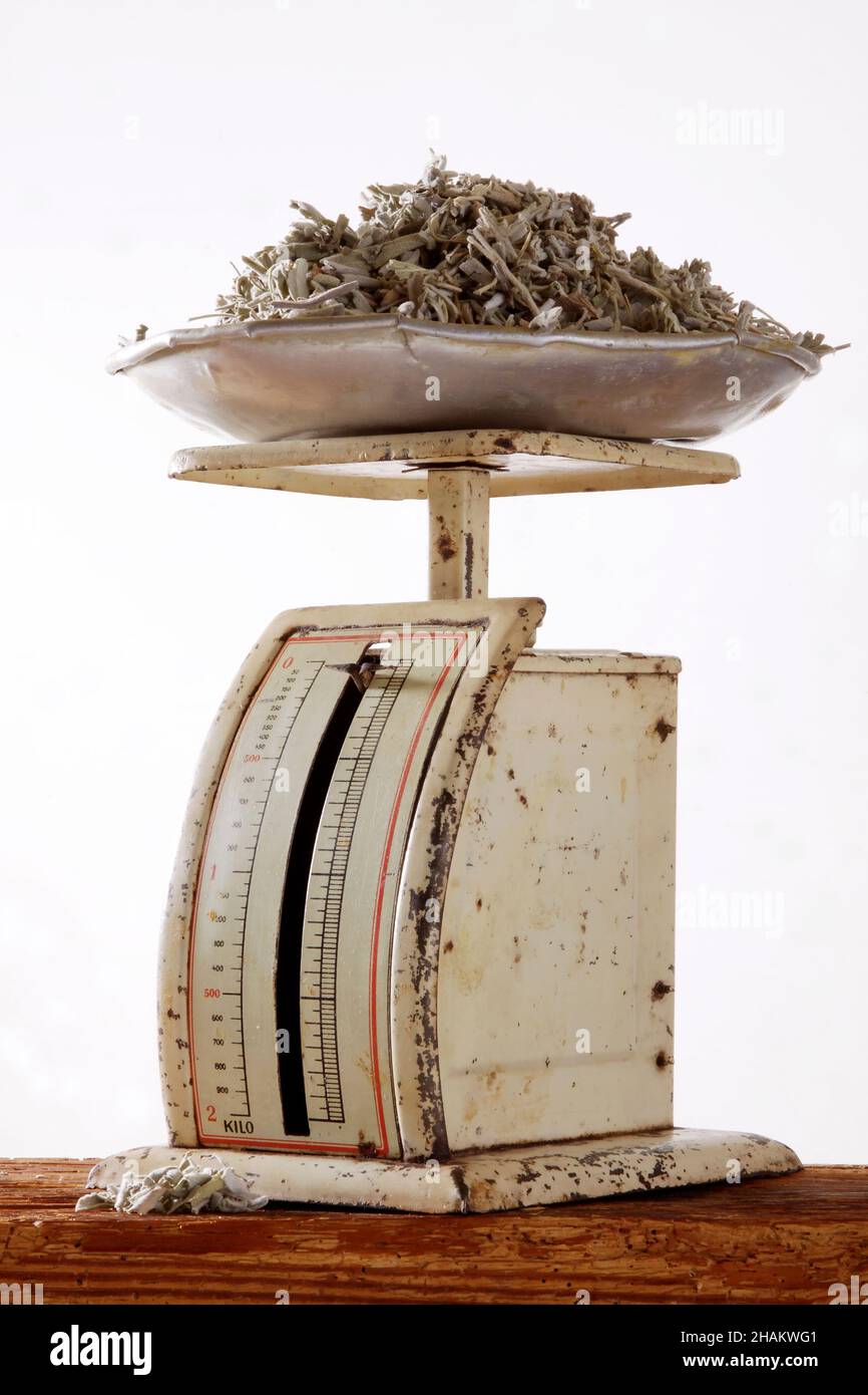 Sage on old metal scales on wooden beams, isolated Stock Photo - Alamy