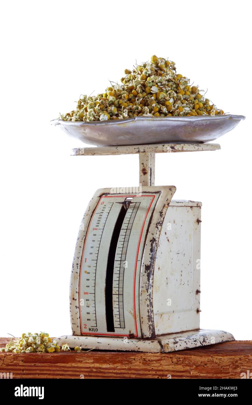 chamomile flowers on old metal scales on wooden beams, isolated Stock ...