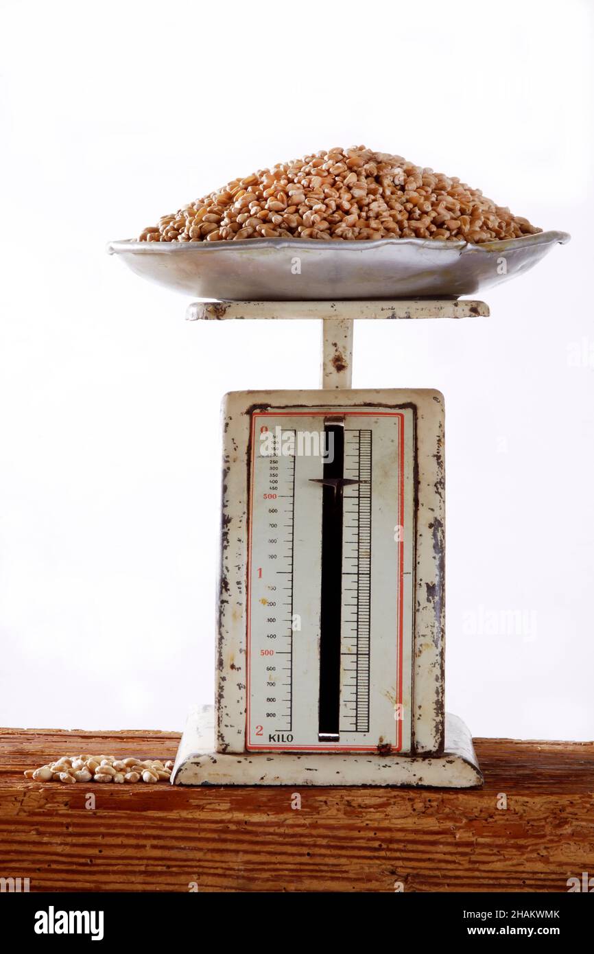 rye on old metal scales on wooden beams, isolated Stock Photo - Alamy