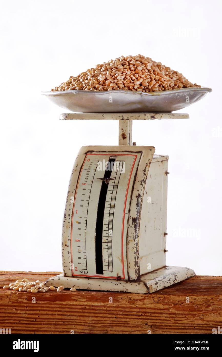 rye on old metal scales on wooden beams, isolated Stock Photo - Alamy