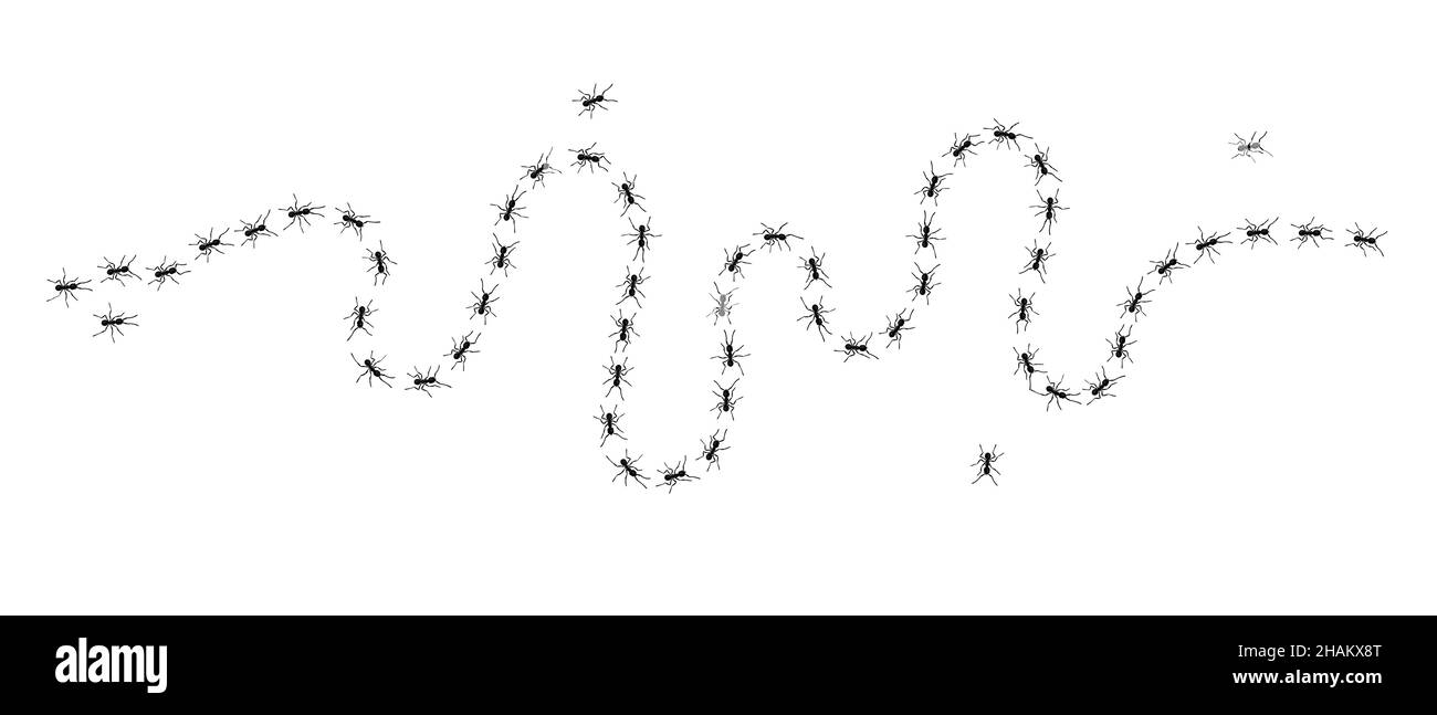 Worker ants trail line flat style design vector illustration isolated ...