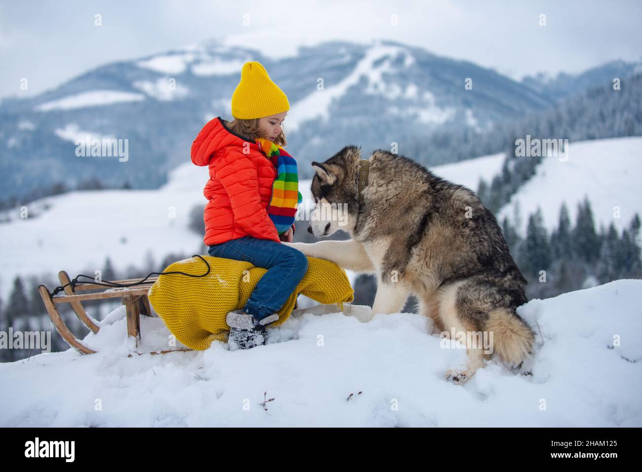Lapland husky children hi-res stock photography and images - Alamy
