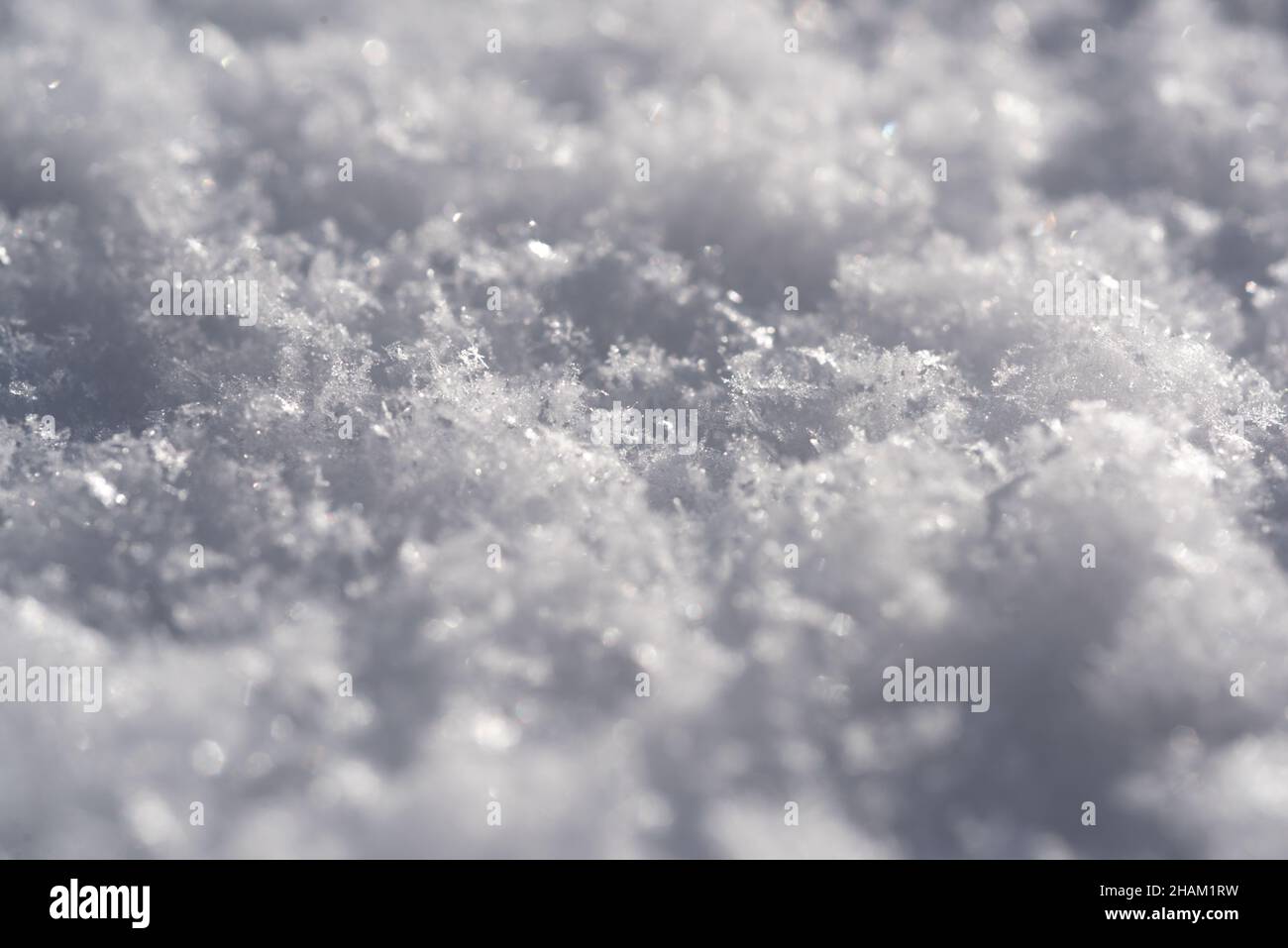 Snow background, winter texture, snowy surface of snow Stock Photo - Alamy