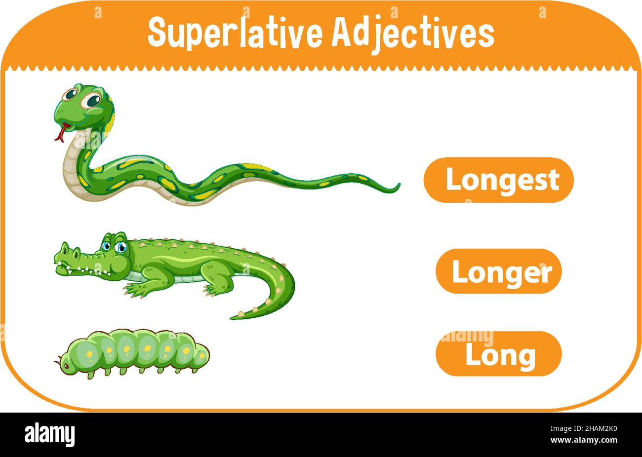 Superlatives Adjective for word long illustration Stock Vector Image ...