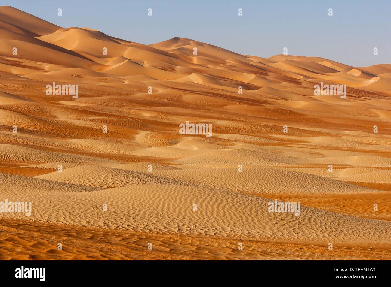 A dune landscape in the Rub al Khali or Empty Quarter. Straddling Oman ...