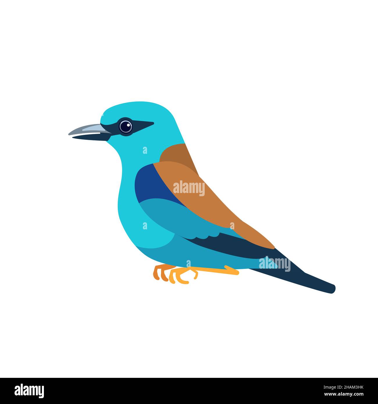 European roller Bird Cartoon flat style character of ornithology ...