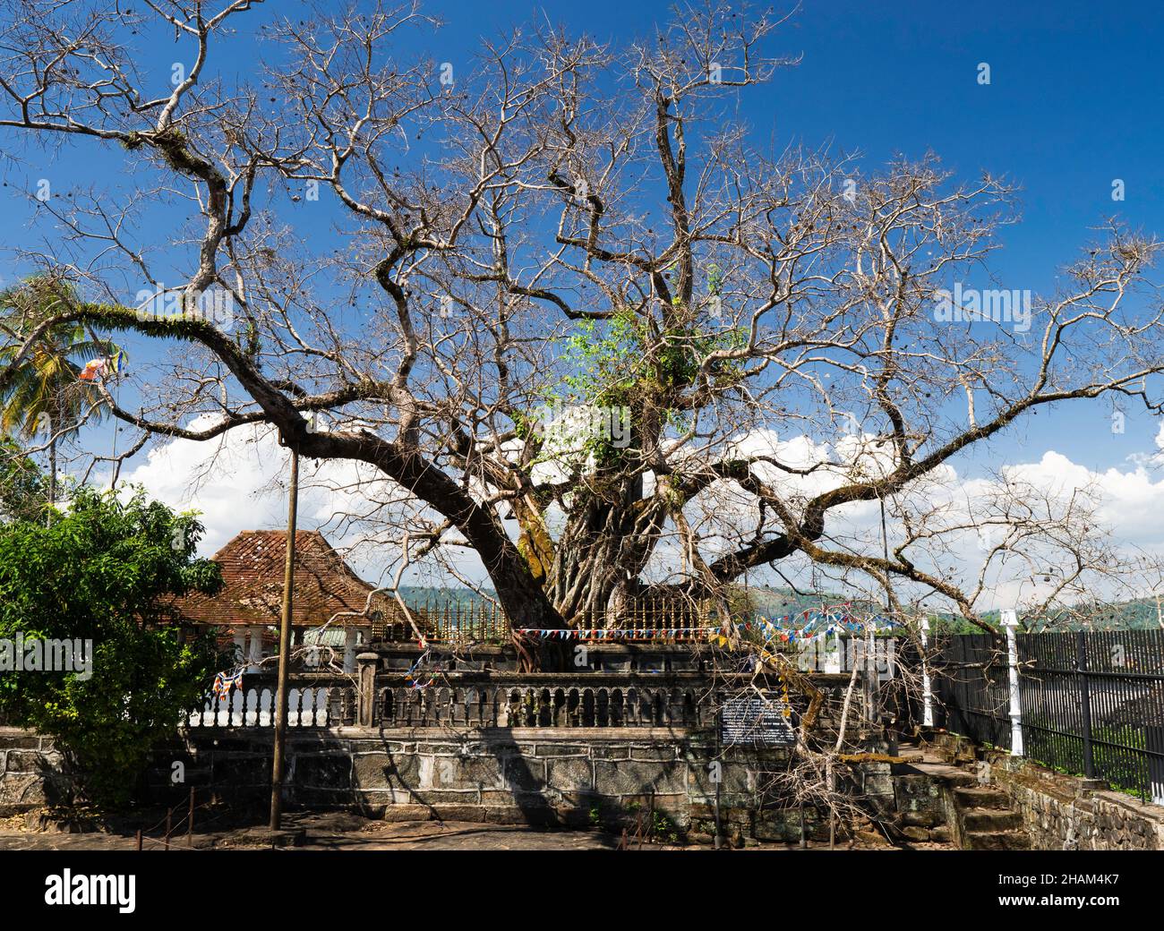 Lankatilaka vihara temple hi-res stock photography and images - Alamy