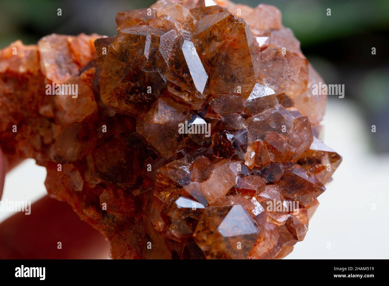 Gemmology hi-res stock photography and images - Alamy