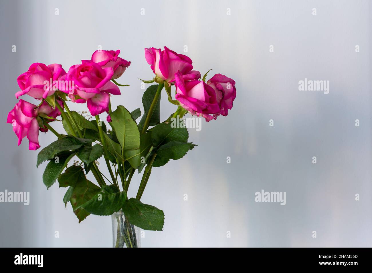 Small bouquet of pink rose Stock Photo - Alamy