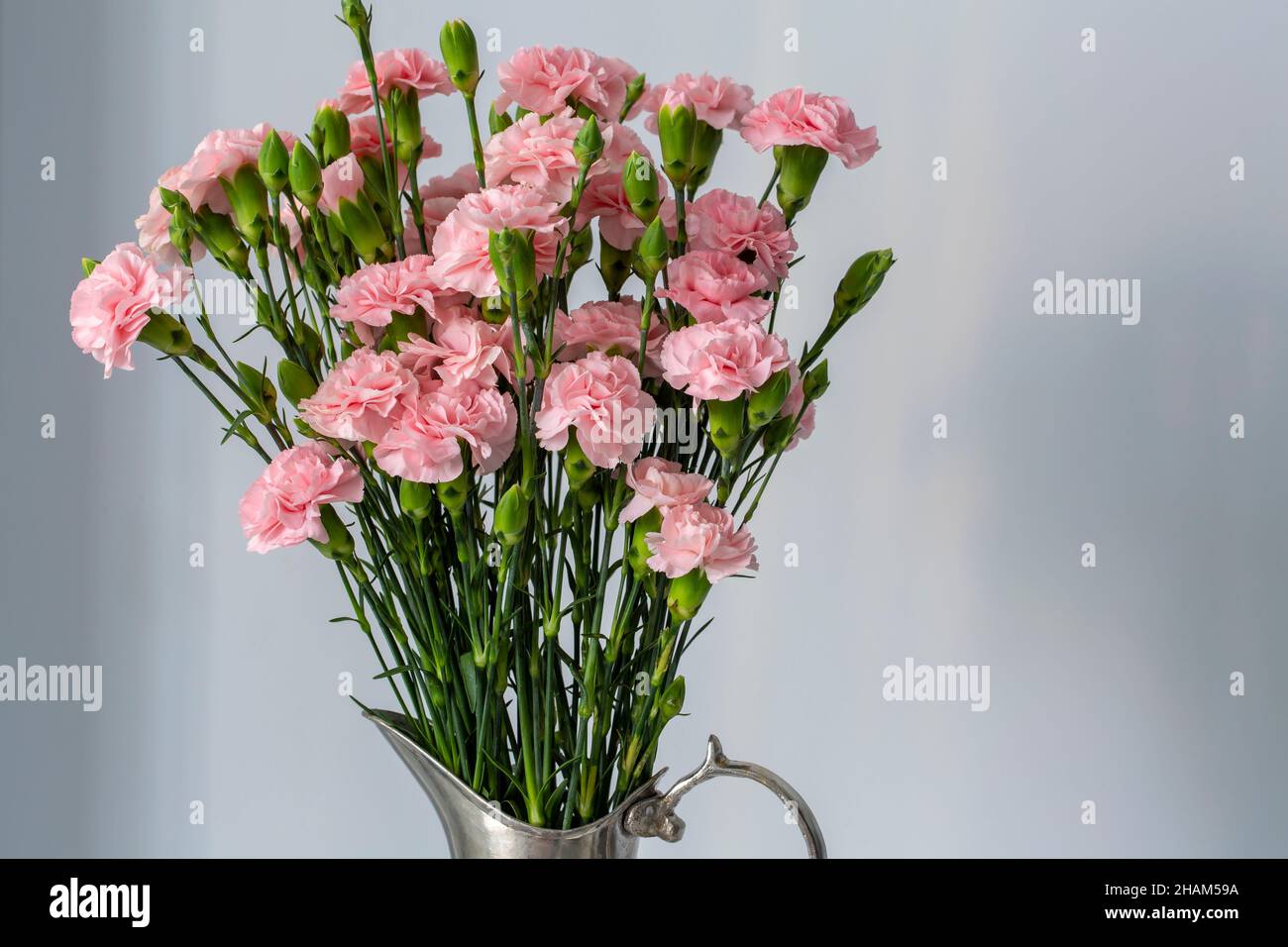 Bouquet of pink carnations hi-res stock photography and images - Alamy
