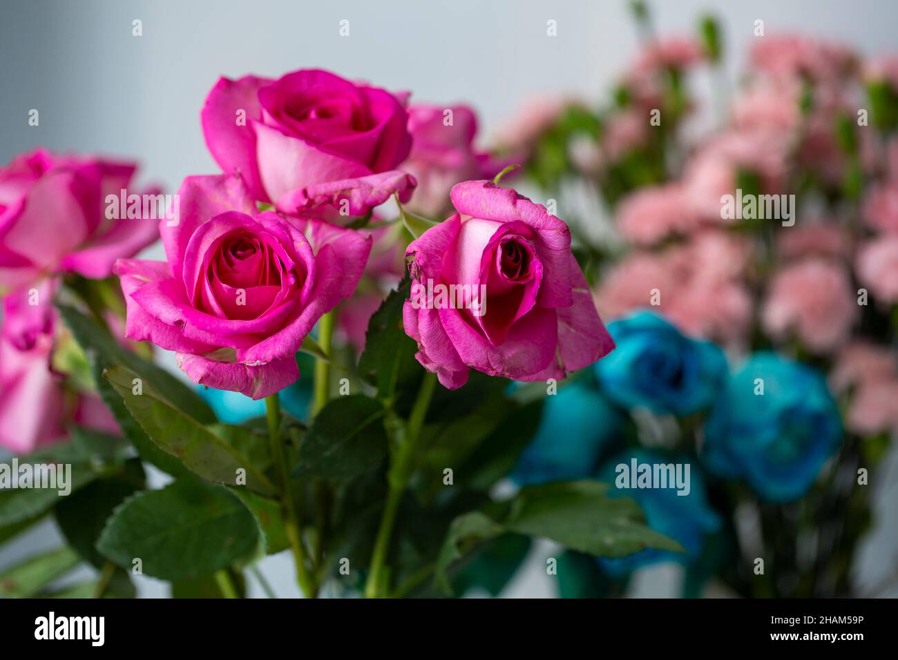 Small bouquet of pink rose Stock Photo - Alamy