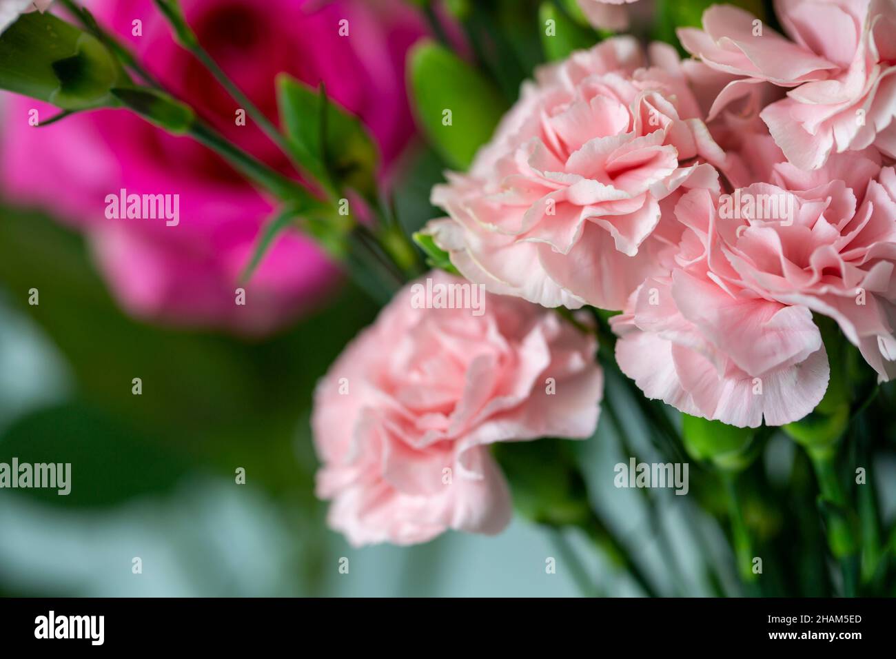 Small bouquet of pink carnations Stock Photo - Alamy