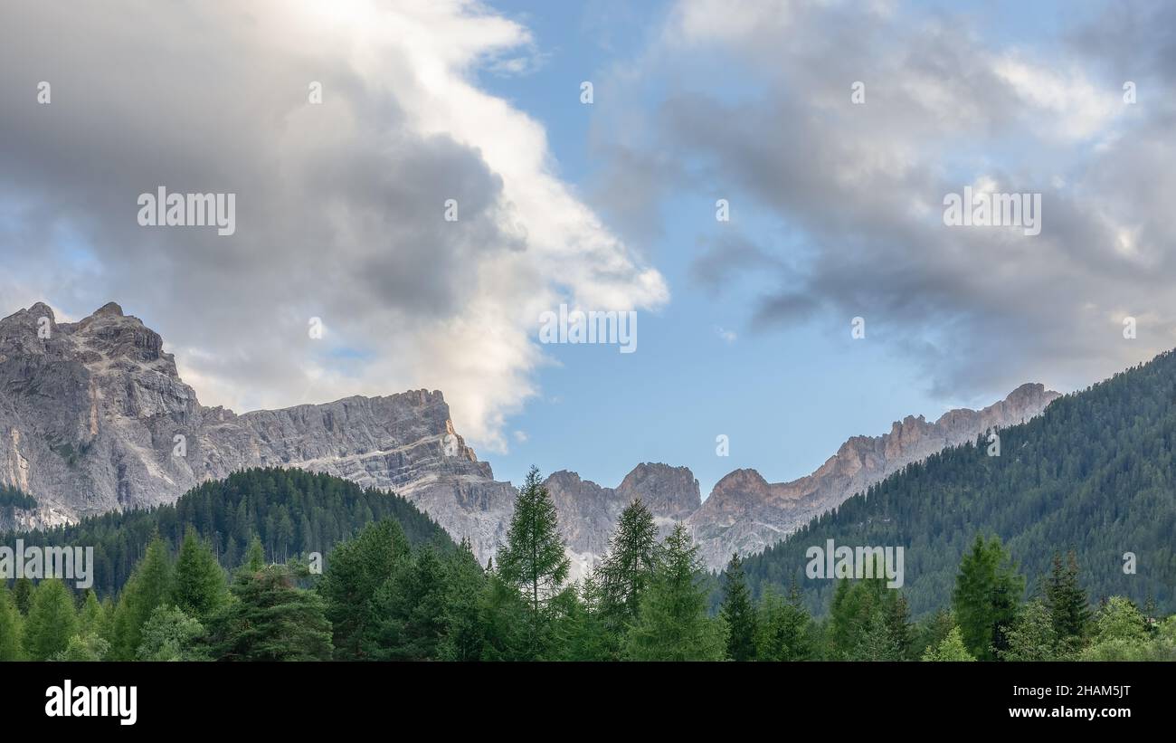 Pine forest line overlapping the Italian Dolomites ridge line Stock ...