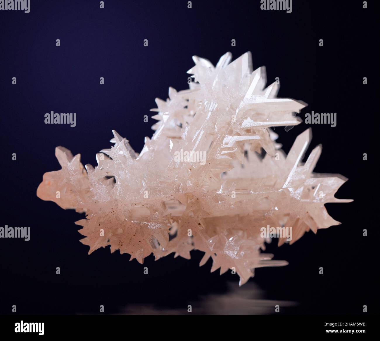 cerrusite mineral specimen stone rock geology gem crystal Stock Photo ...