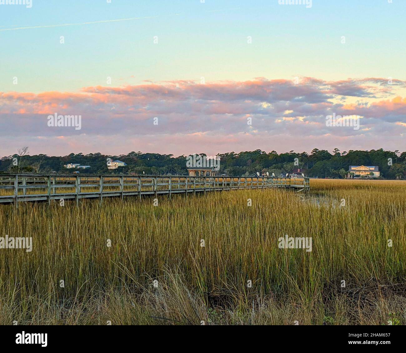Beautiful scenery of a meadow with a sunset background Stock Photo - Alamy