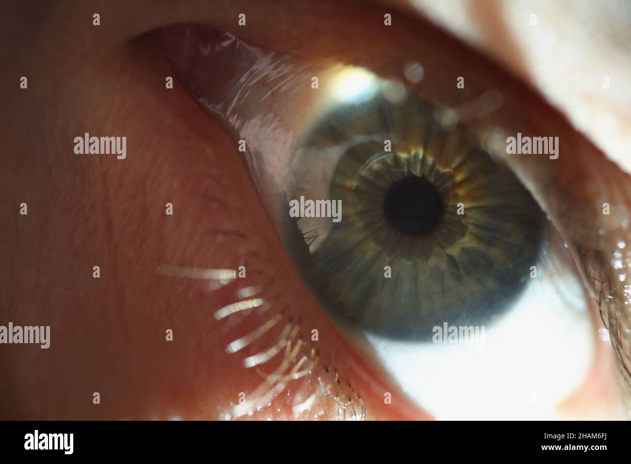 Person single eye reflect sun, pupil and retina in extreme macro shot ...
