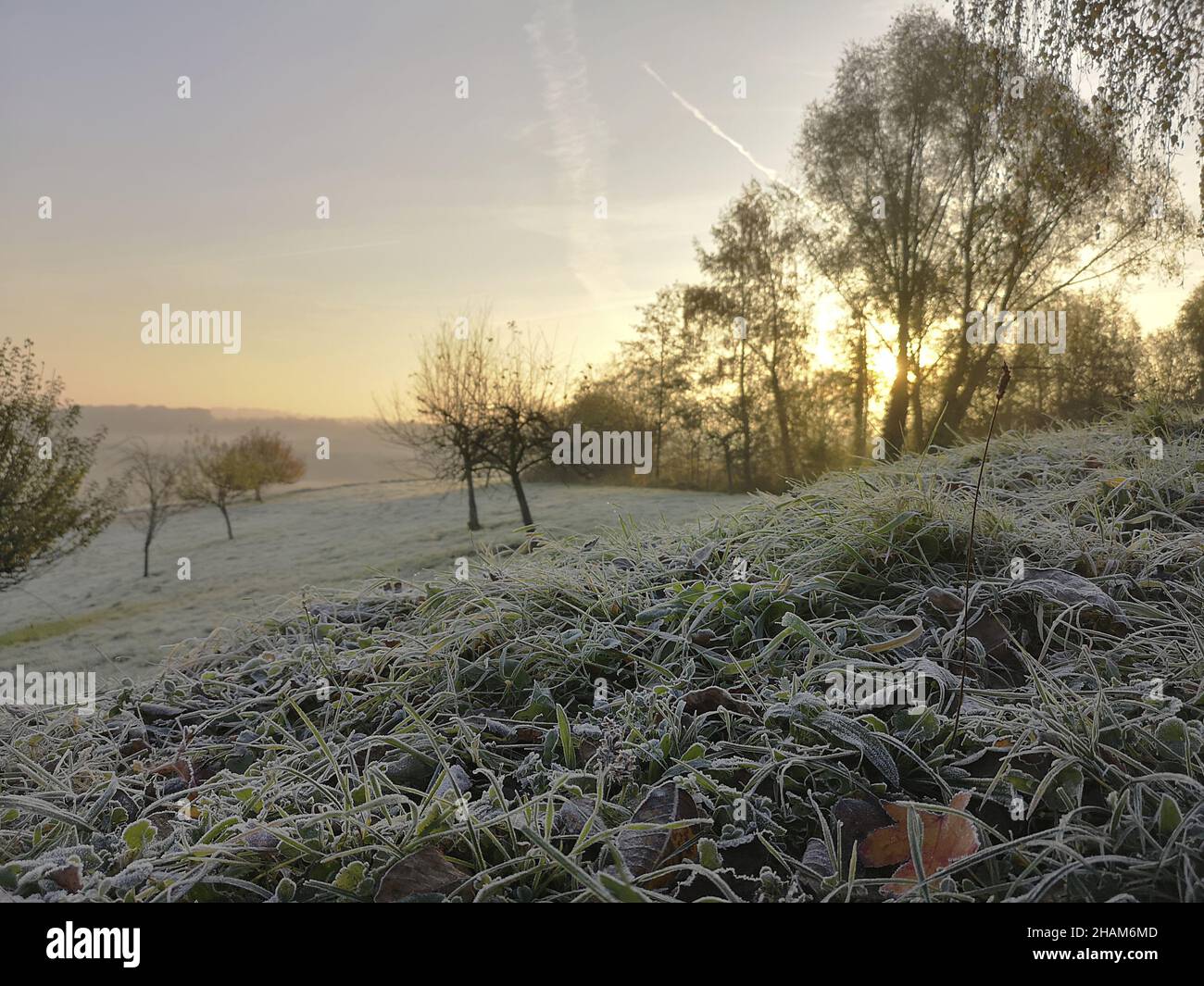 Beautiful sunrise over a frosty landscape near Duesseldorf, Germany in ...