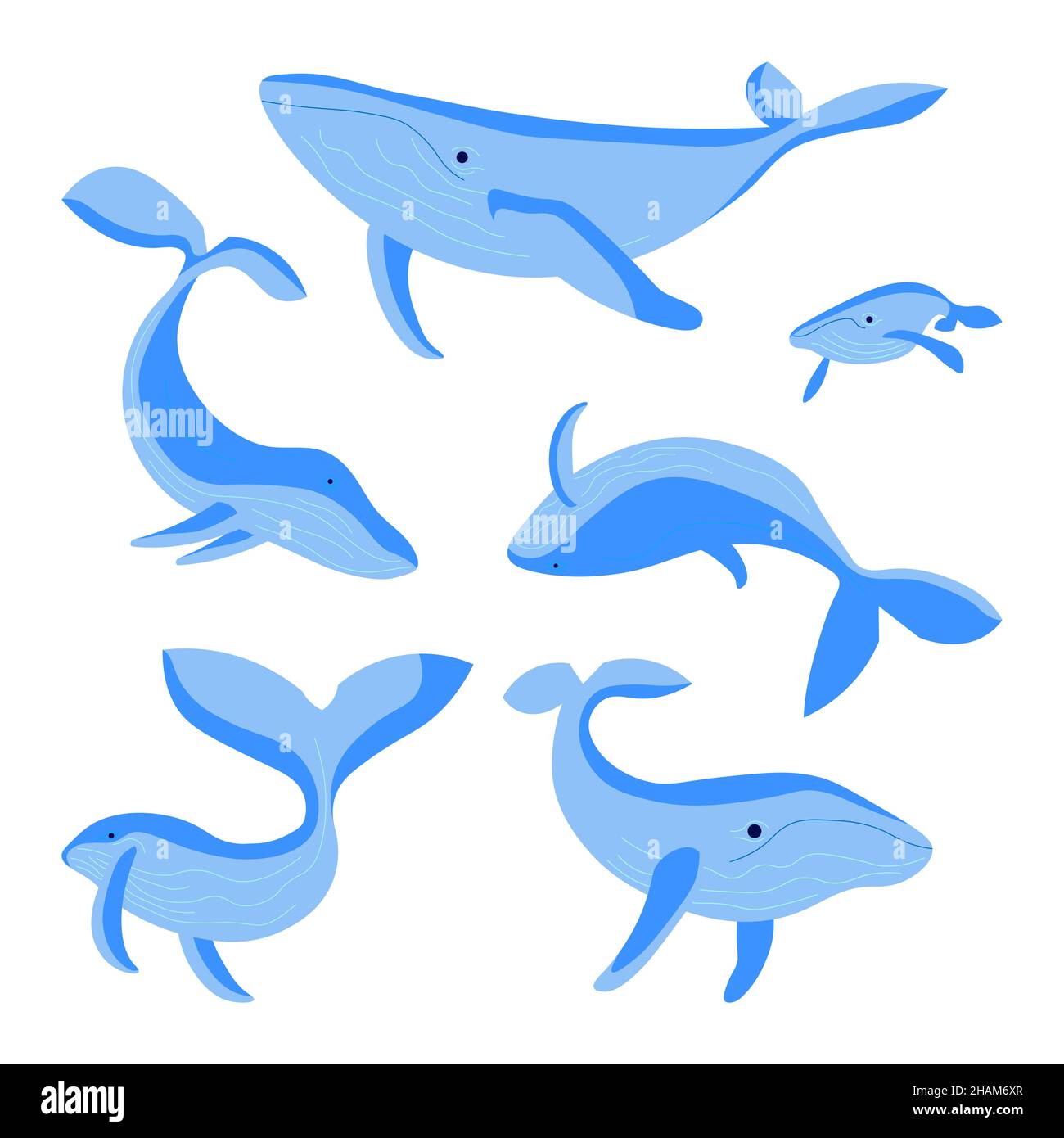 Set of blue whales isolated on white background. Sea animals swimming ...