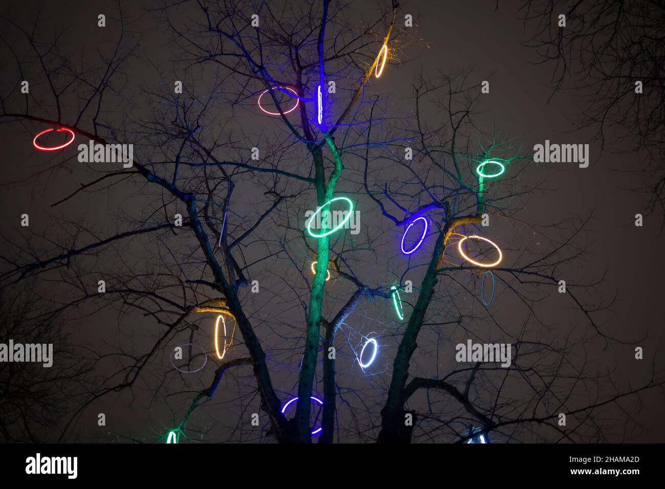 Colorful circle garland on tree . Christmas and New Year decor . Magic ...